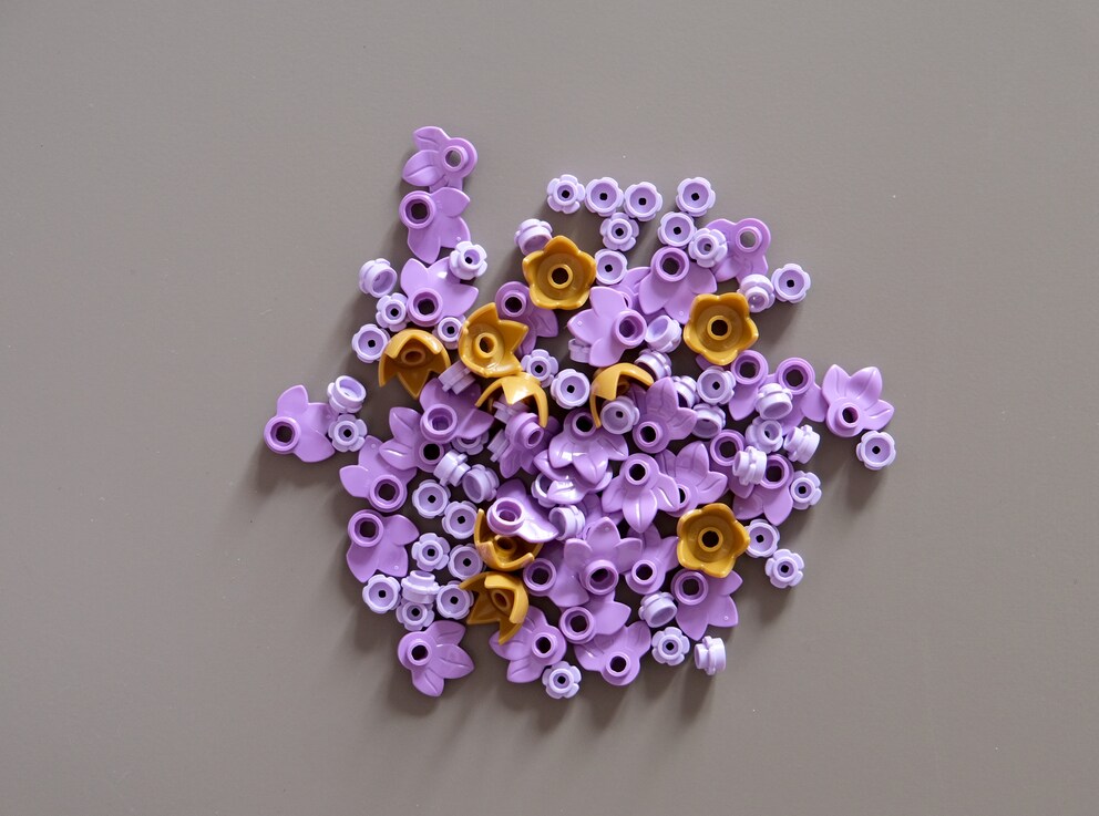 Lego Botanical Collection: Blumen für die Ewigkeit - Galaxus