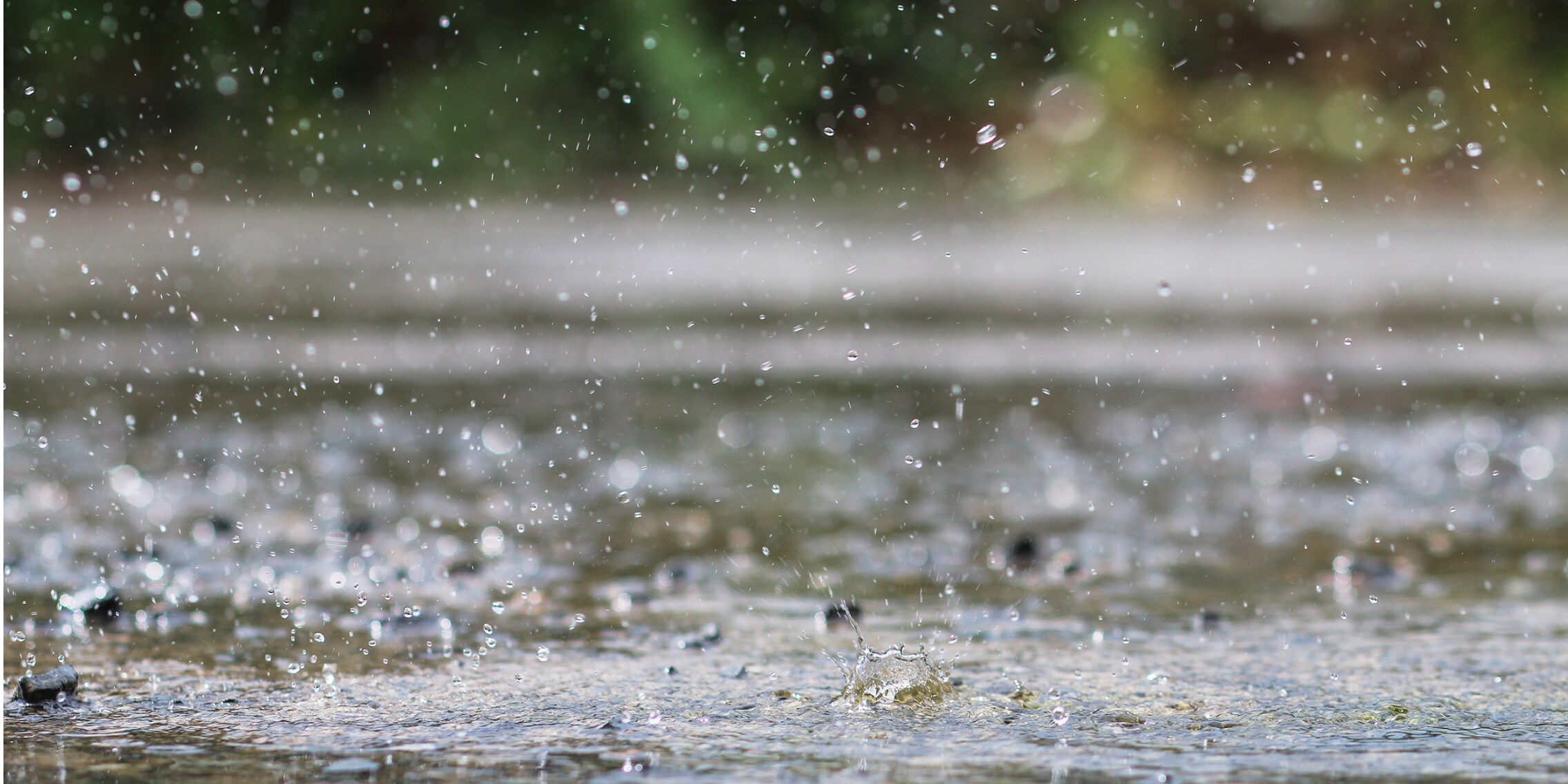 Pétrichor ; l’odeur de la pluie en été a un nom - Galaxus