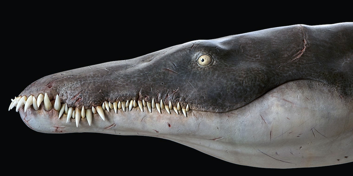 daemonosaurus predators