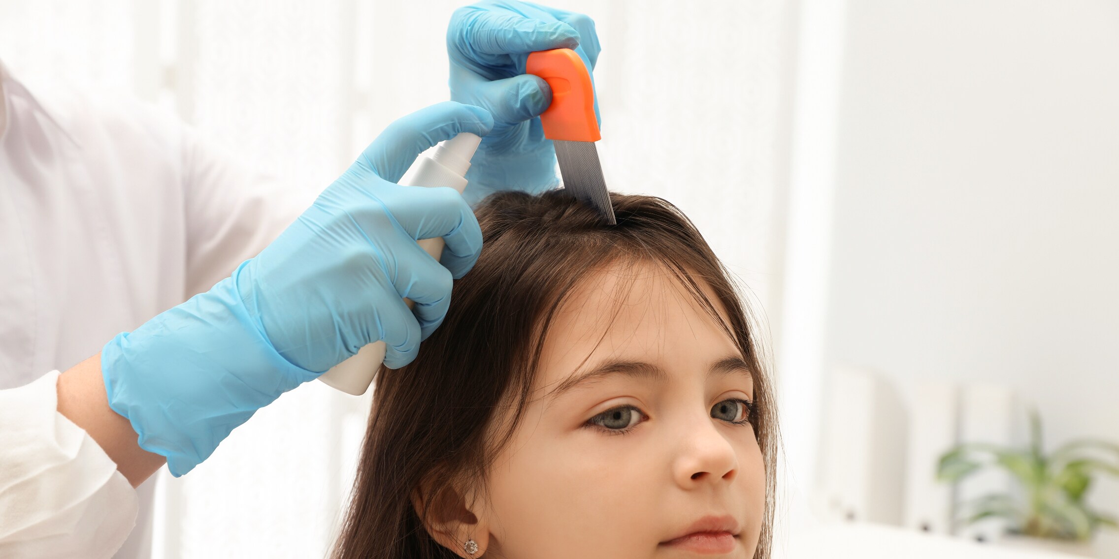 To tear your hair out: The K-Tipp tests lice remedies - Galaxus