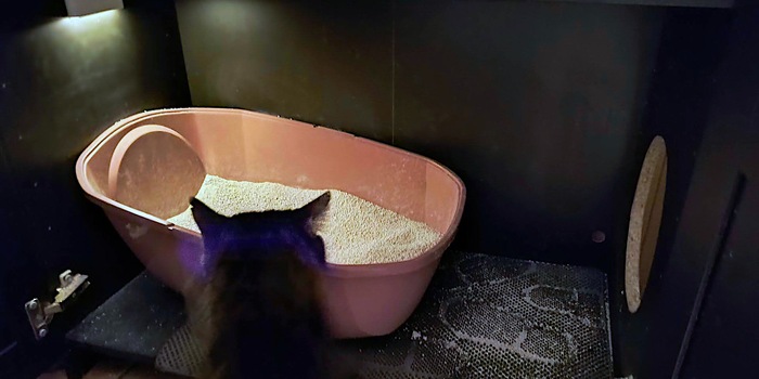 Selfmade-Premium-Katzenklo mit Innenbeleuchtung - Galaxus