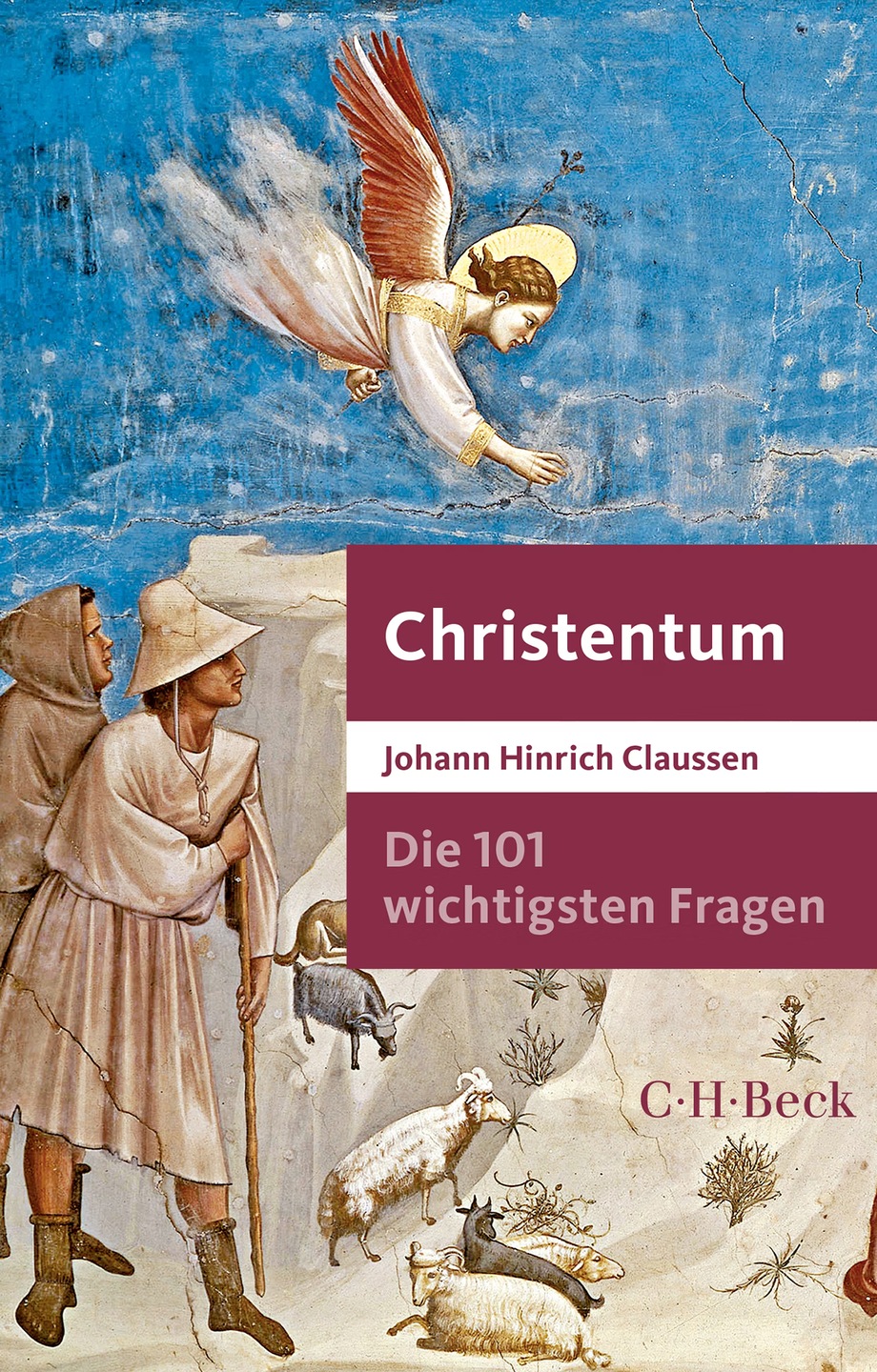 Die 101 wichtigsten Fragen - Christentum (Deutsch, Johann Hinrich ...
