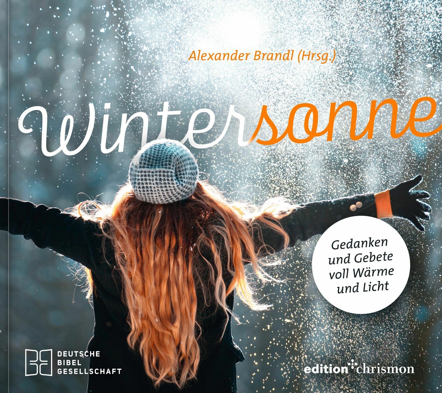Wintersonne (Deutsch, Alexander Brandl, 2024) - kaufen bei Galaxus