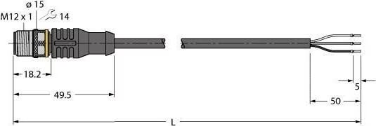 Turck Connection cable (10 m) - buy at Galaxus