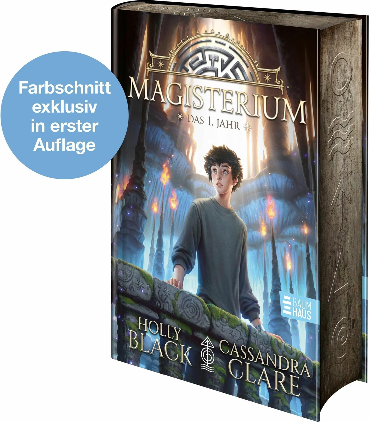 Magisterium - Das 1. Jahr (Deutsch, Cassandra Clare, Holly Black, 2024 ...