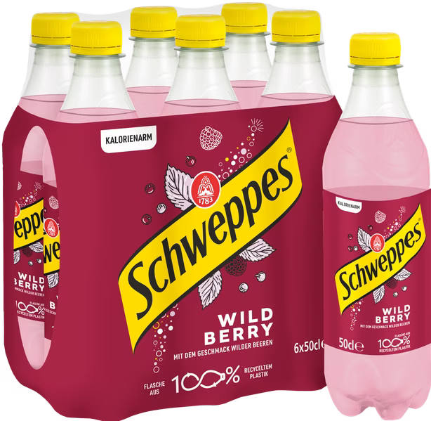Schweppes Wild Berry (24 x 50 cl) - buy at Galaxus