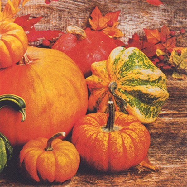 Magni Napkin 25X25cm Pumpkins (25 x 25 cm) - buy at Galaxus