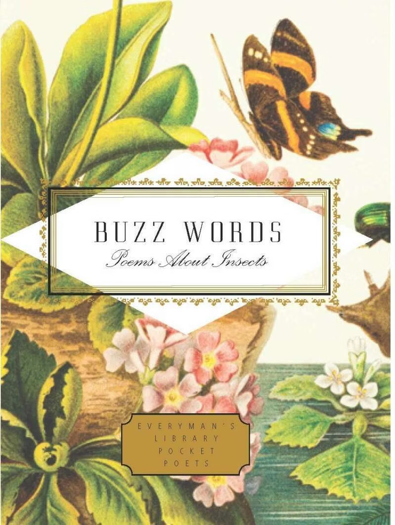 Buzz Words (Englisch, Howard Schechter, Kimiko Hahn, 2021) - Galaxus