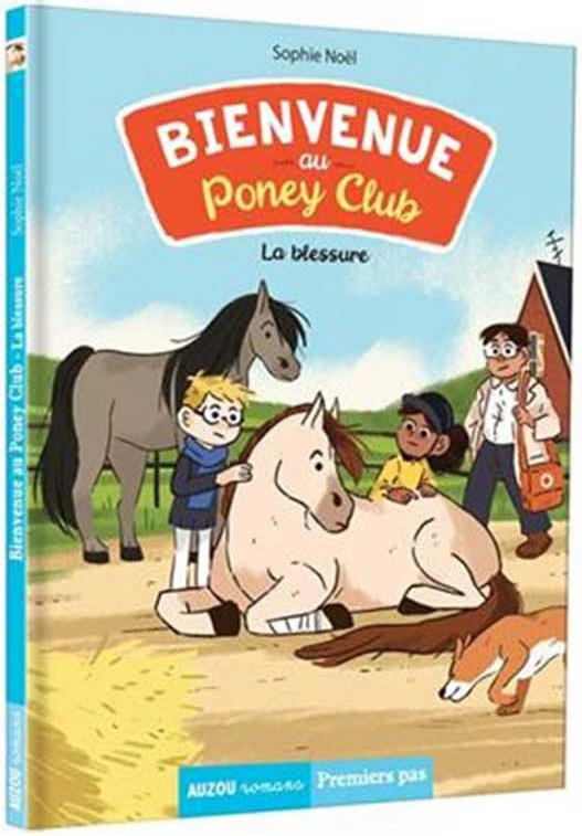 Bienvenue au poney club : La blessure - Tome 03 (Französisch, Noël ...