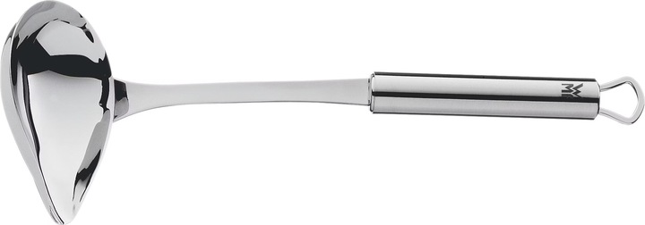WMF Saucenlöffel Sossenkelle mit Schnaupe 28cm Profi Plus Edelstahl ...