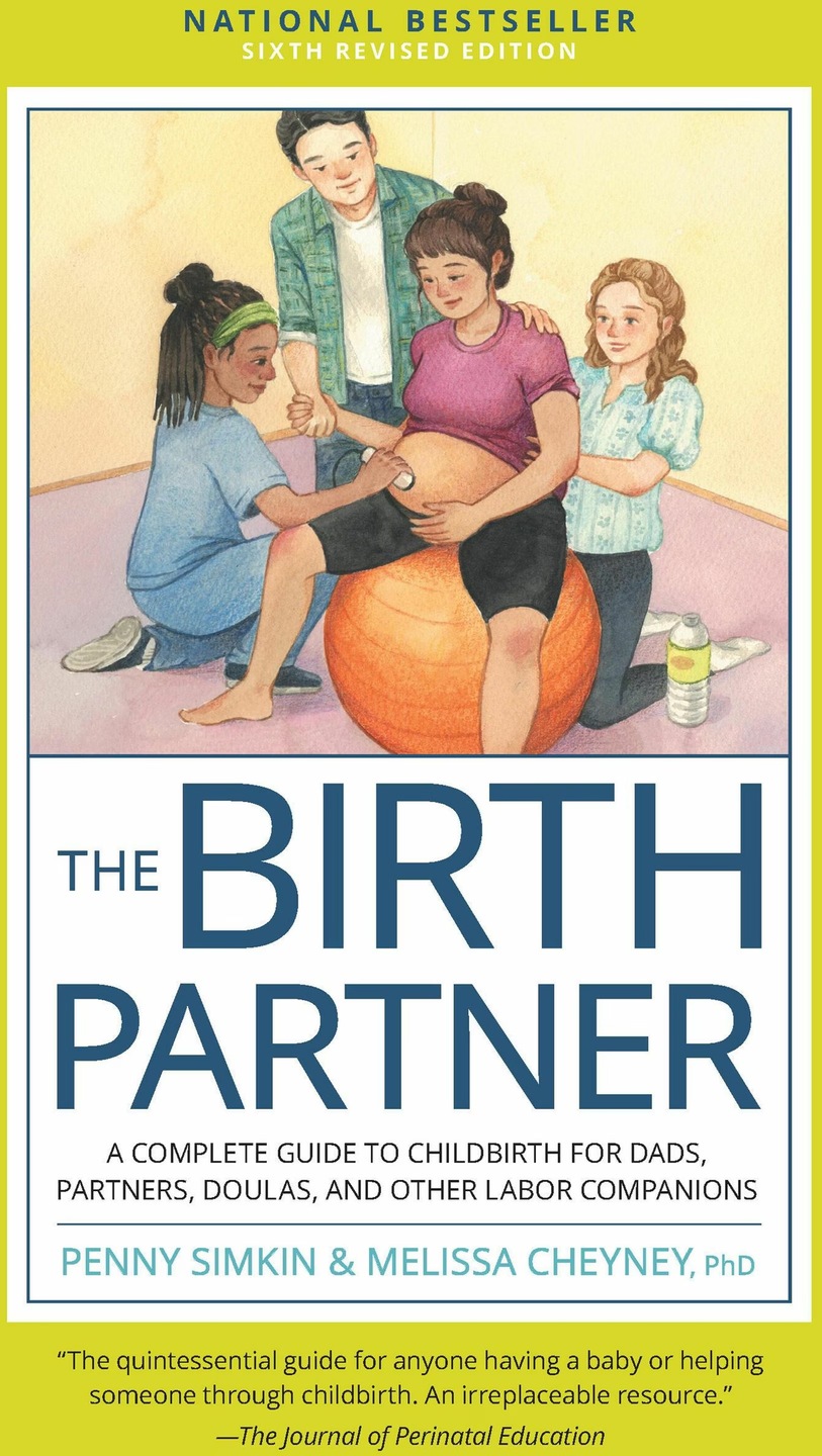 The Birth Partner, 6th Revised Edition (Englisch, Penny Simkin, Melissa ...