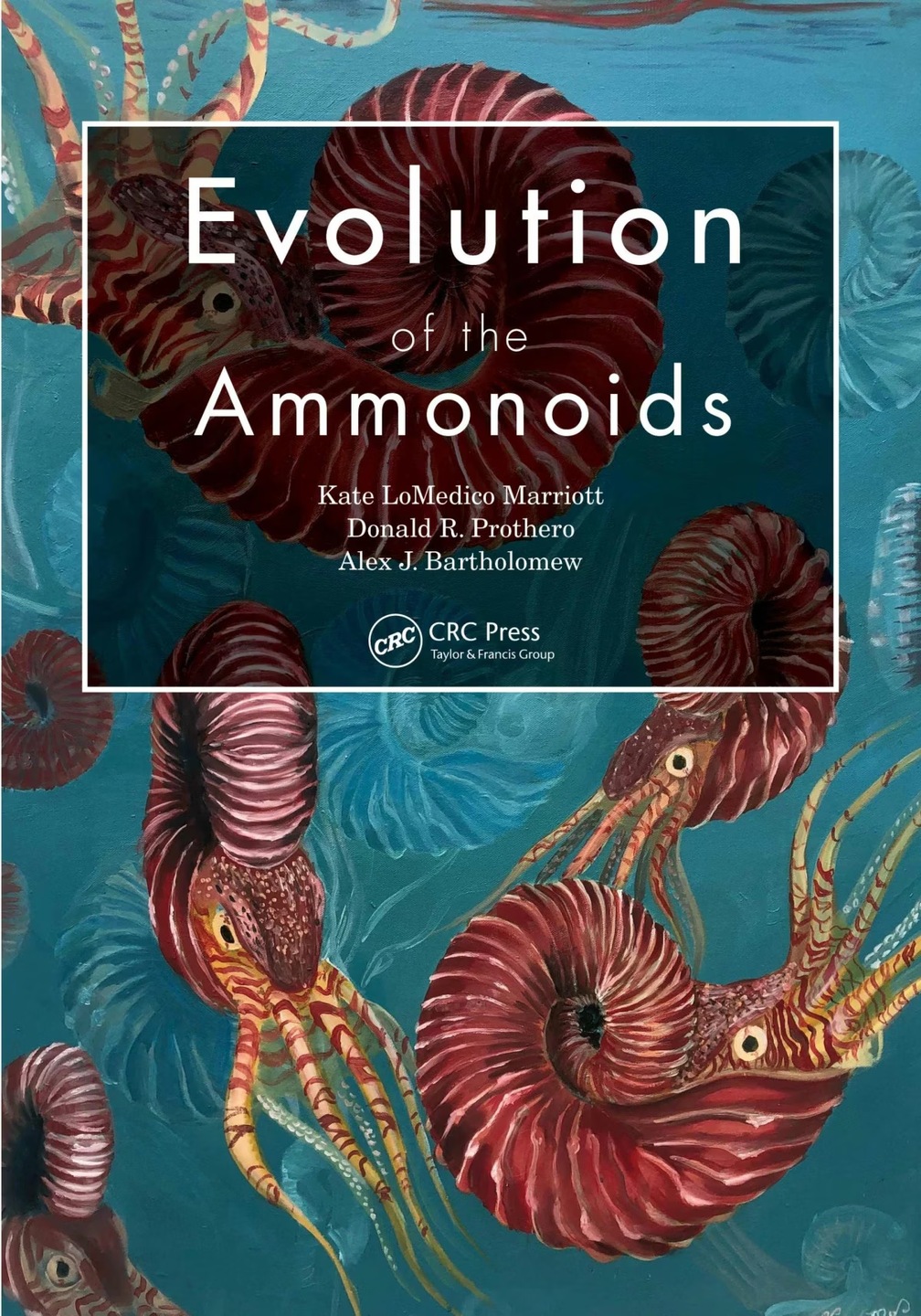 Evolution of the Ammonoids (Englisch, Alexander Bartholomew, Donald R ...
