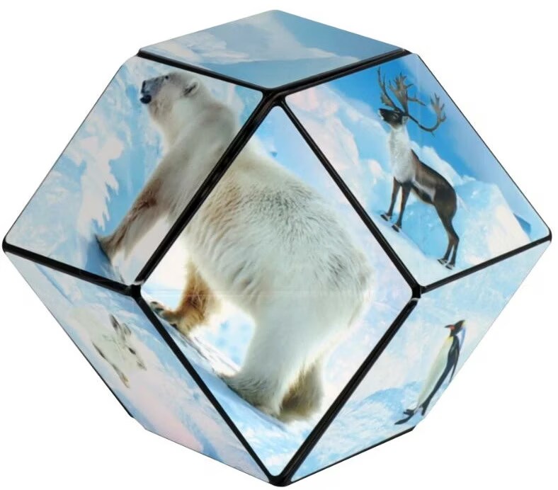 Shashibo Cube Arctic (7 x 7) - buy at Galaxus