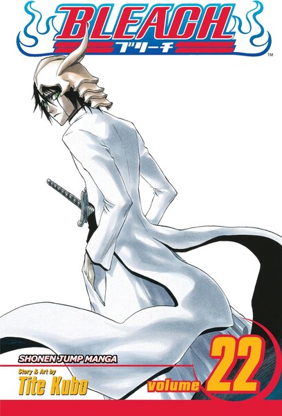 Bleach, Vol. 22 (Tite Kubo, English) - buy at Galaxus