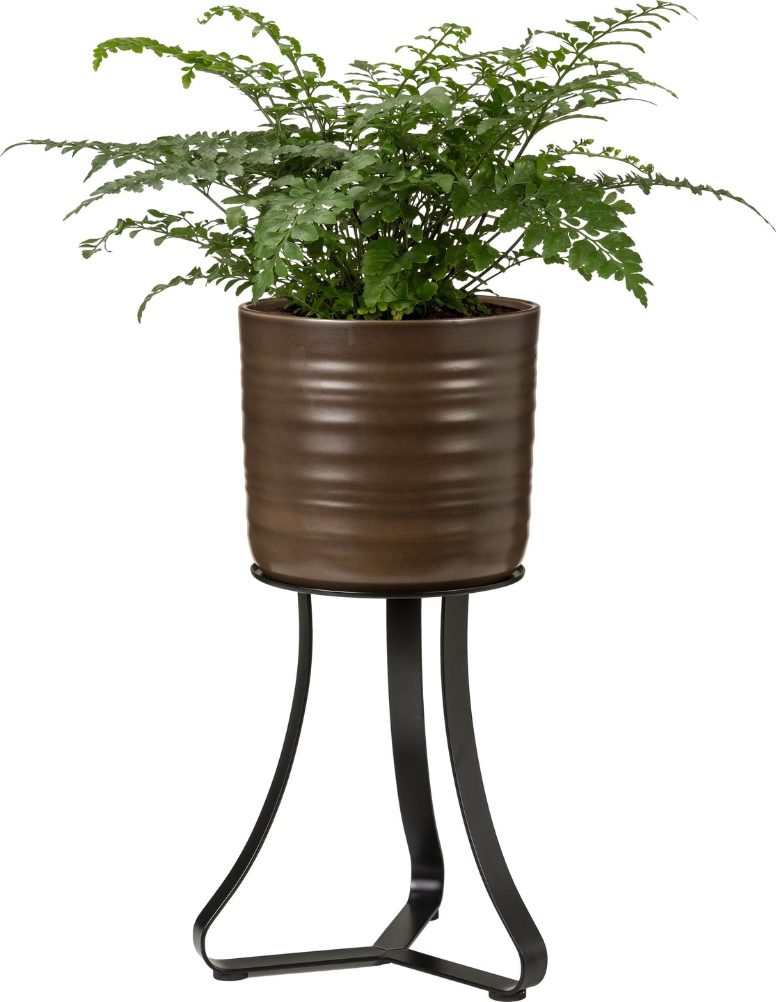 Scheurich Paris 27, Pflanzenständer/Blumenständer/Blumentopfständer ...