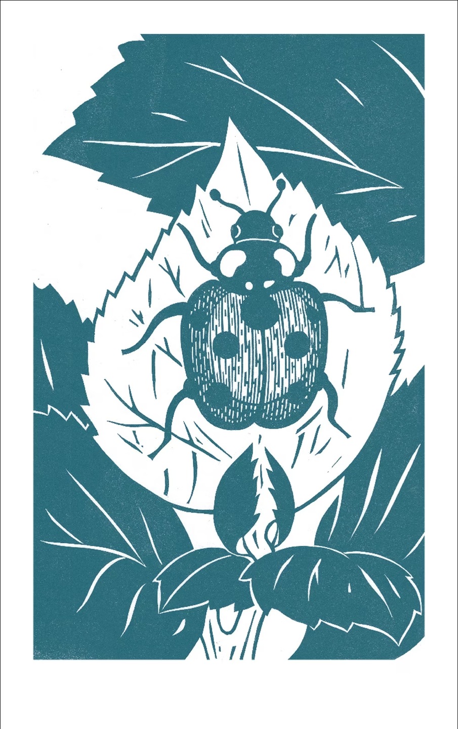 Vom Blühen und Vergehen (Deutsch, Marc Hamer, 2022) - Galaxus