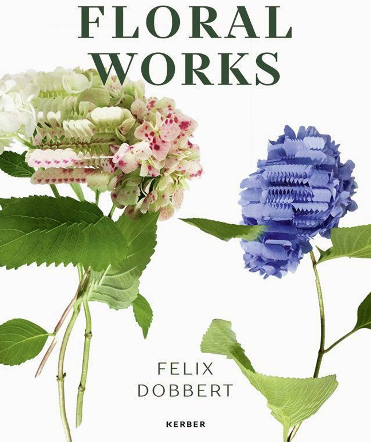 Felix Dobbert (Englisch, Deutsch, Stefan Rasche, Barbara Welzel, Sabine ...