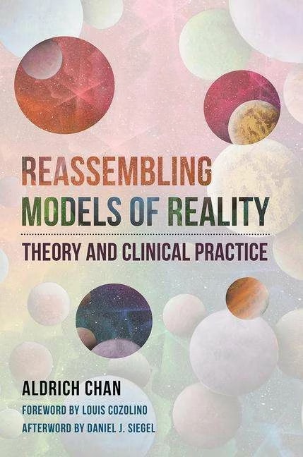 Reassembling Models of Reality: Theory and Clinical Practice (Englisch ...