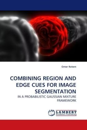 Combining Region And Edge Cues For Image Segmentation (2009) - Galaxus