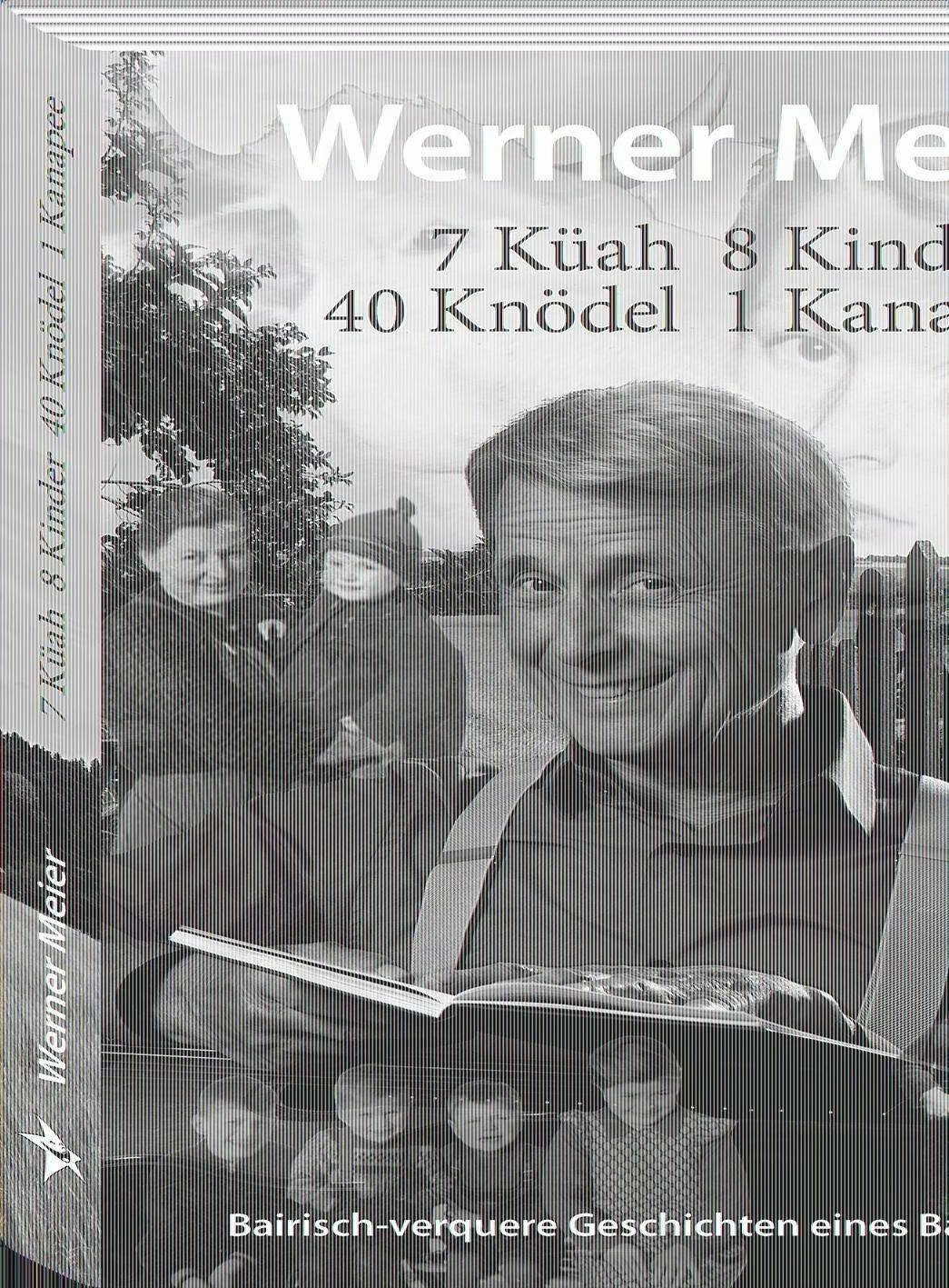 Werner Meier (Deutsch, Werner Meier, 2023) - kaufen bei Galaxus