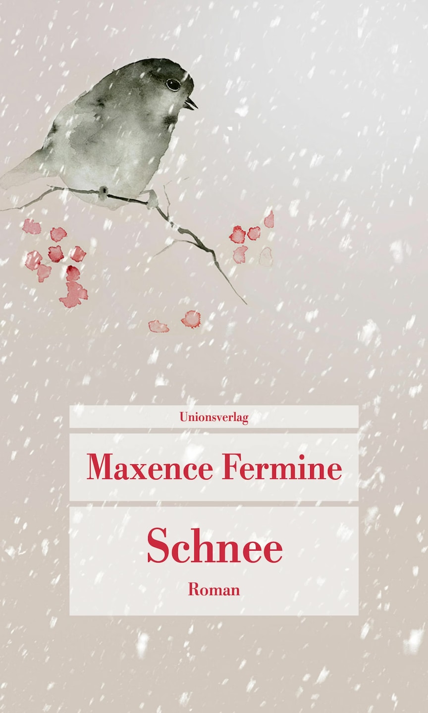 Schnee (Deutsch, Monika Schlitzer, Maxence Fermine, 2024) - Galaxus