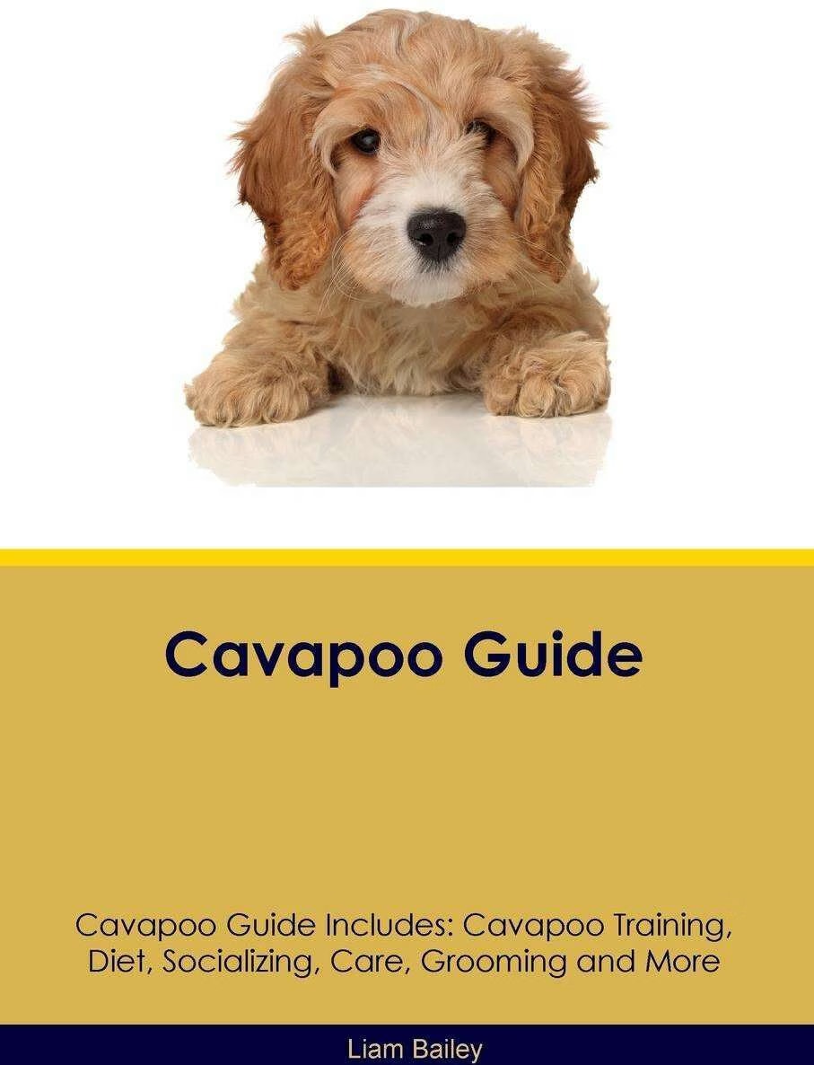 Cavapoo Guide Cavapoo Guide Includes (Englisch, Liam Bailey, 2023) - Galaxus