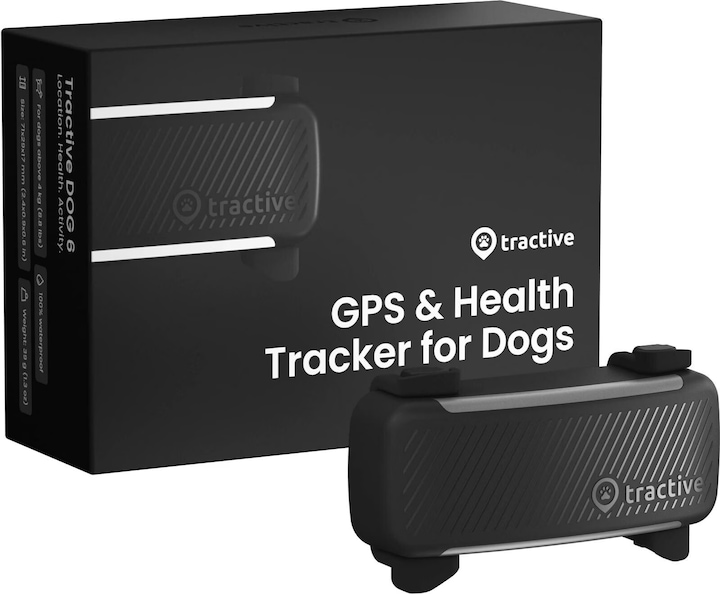 Der «GPS Tracker Dog 6» von Tractive ist ab sofort erhältlich - Galaxus