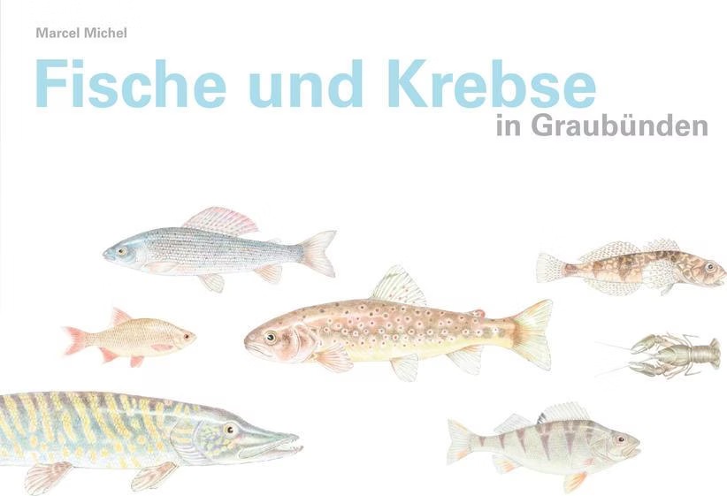 Fische und Krebse in Graubünden (Deutsch, Marcel Michel, 2017) - Galaxus