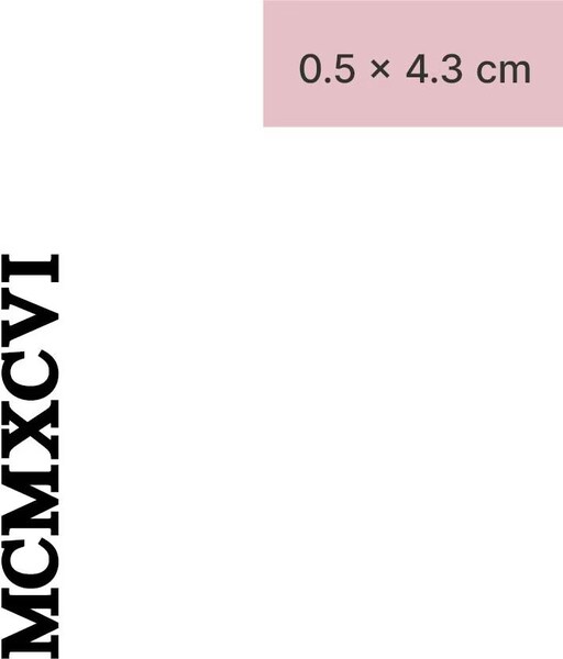 minink Temporäres Tattoo – Römische Zahl MCMXCVI (1996) - Galaxus