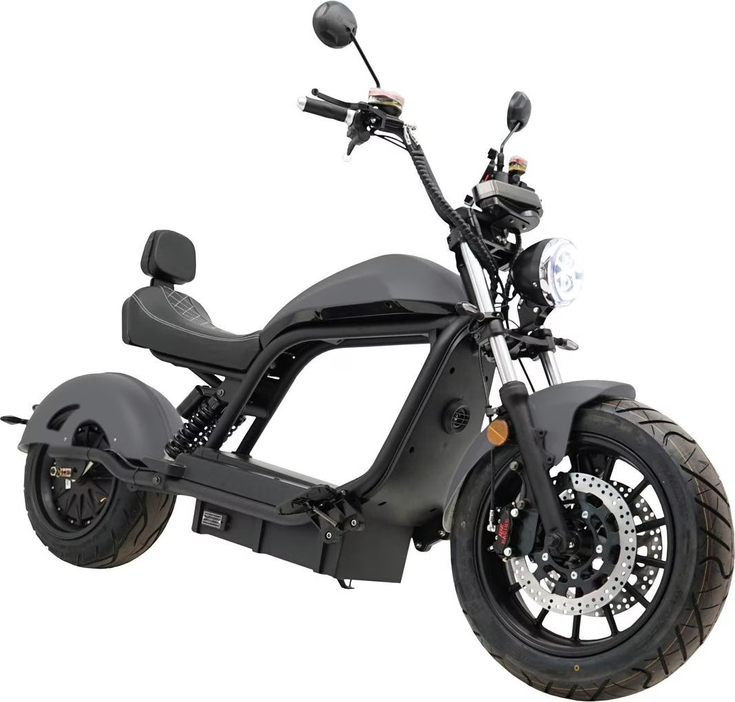 Chopper 6.0 Pro (25 km/h, 500 W) - acquista su Galaxus