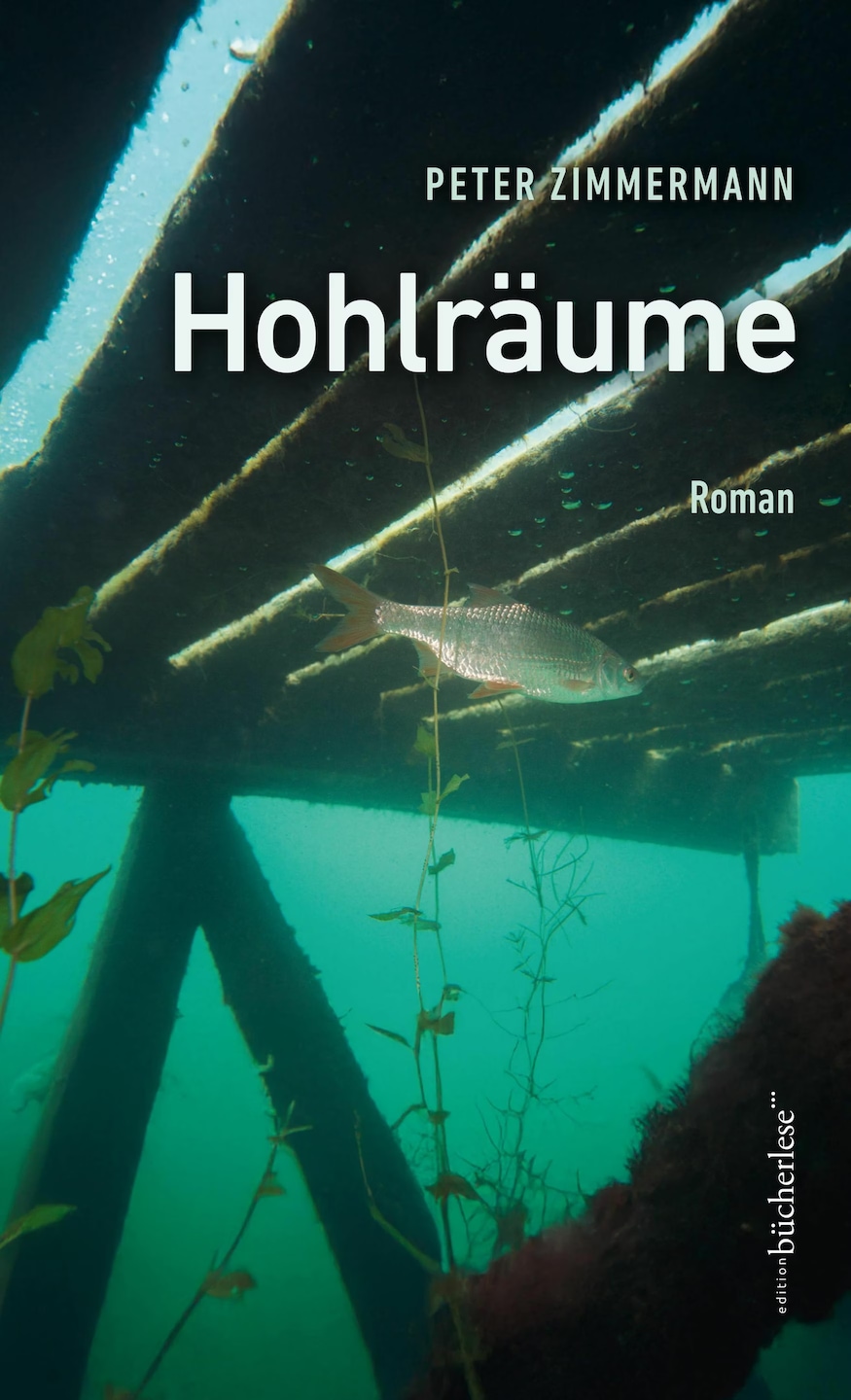 Hohlräume (Allemand, Peter Zimmermann, 2025) - acheter sur Galaxus
