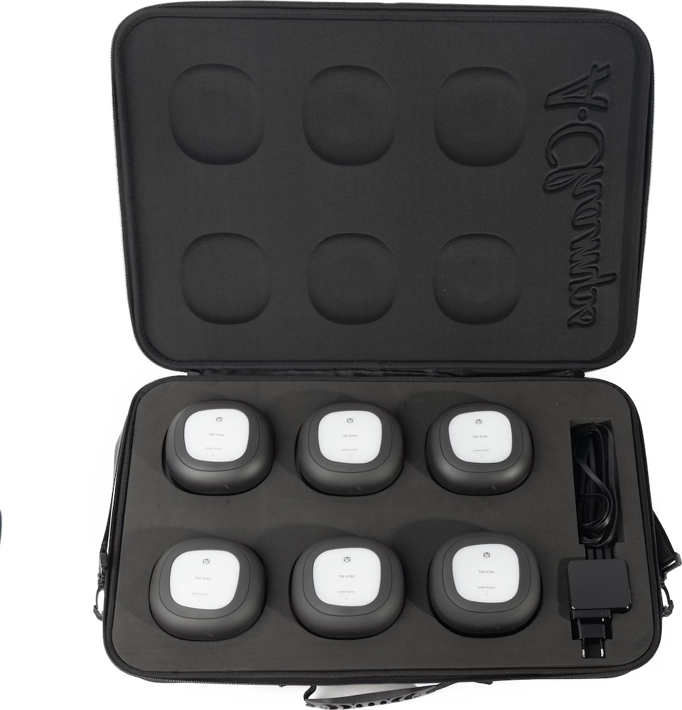 A-Champs ROXPro 6PCS Set (1500 g) - kaufen bei Galaxus