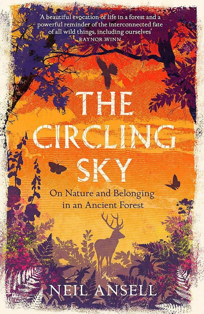 The Circling Sky (Englisch, Ansell Neil, 2021) - kaufen bei Galaxus