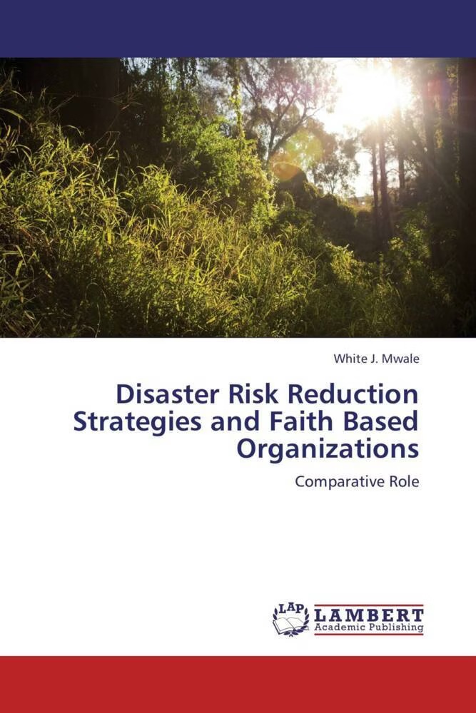 Disaster Risk Reduction Strategies and Faith Based Organizations (2012 ...